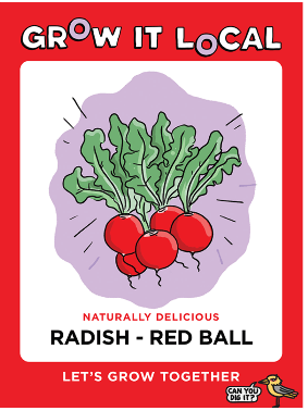 The Rainbow Range Bundle - 20 seed packs for the price of 15 - Grow It ...